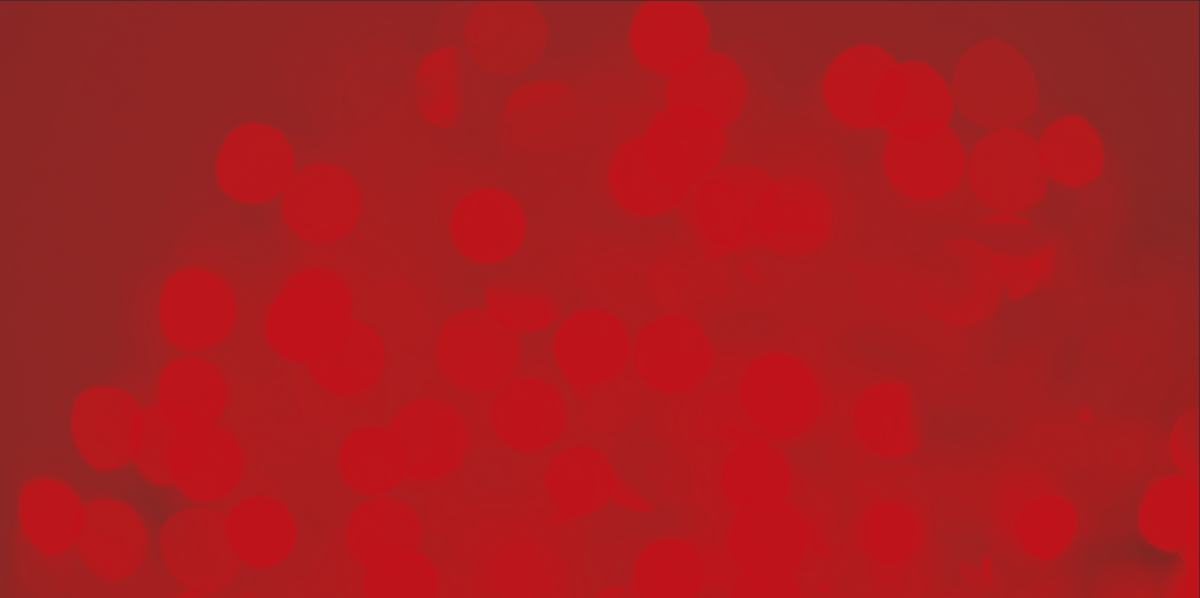 Fortuna Düsseldorf 1895: adventskalender